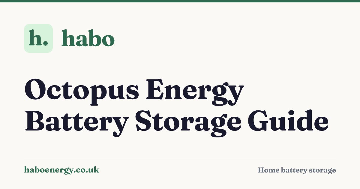 Octopus Energy Battery Storage Guide | Habo Energy